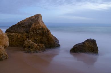 Back to Basics - Shutterspeed - Potteries Photography Club